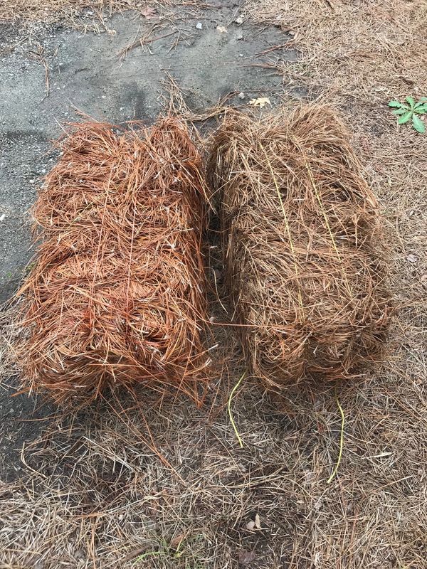 Angel's Pine Straw, LLC